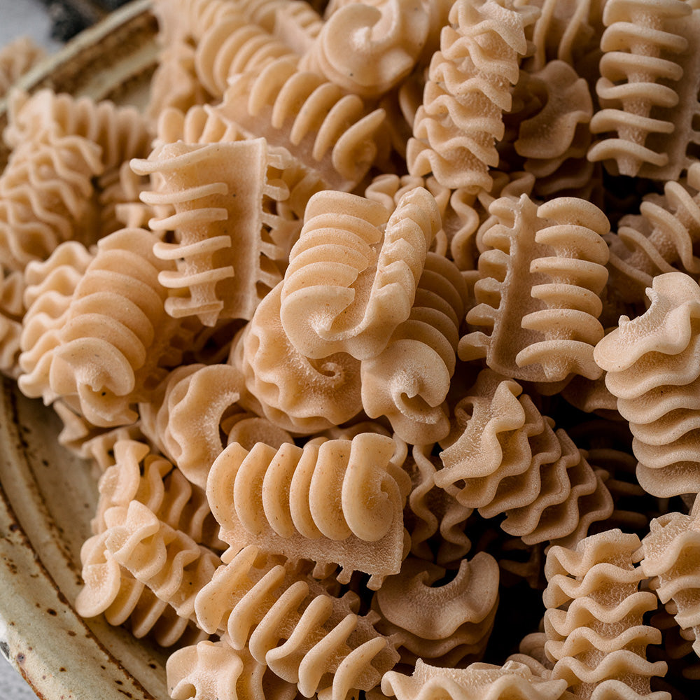 Northern Pasta Co. Radiatori British Spelt Pasta 450g | Ratton Pantry