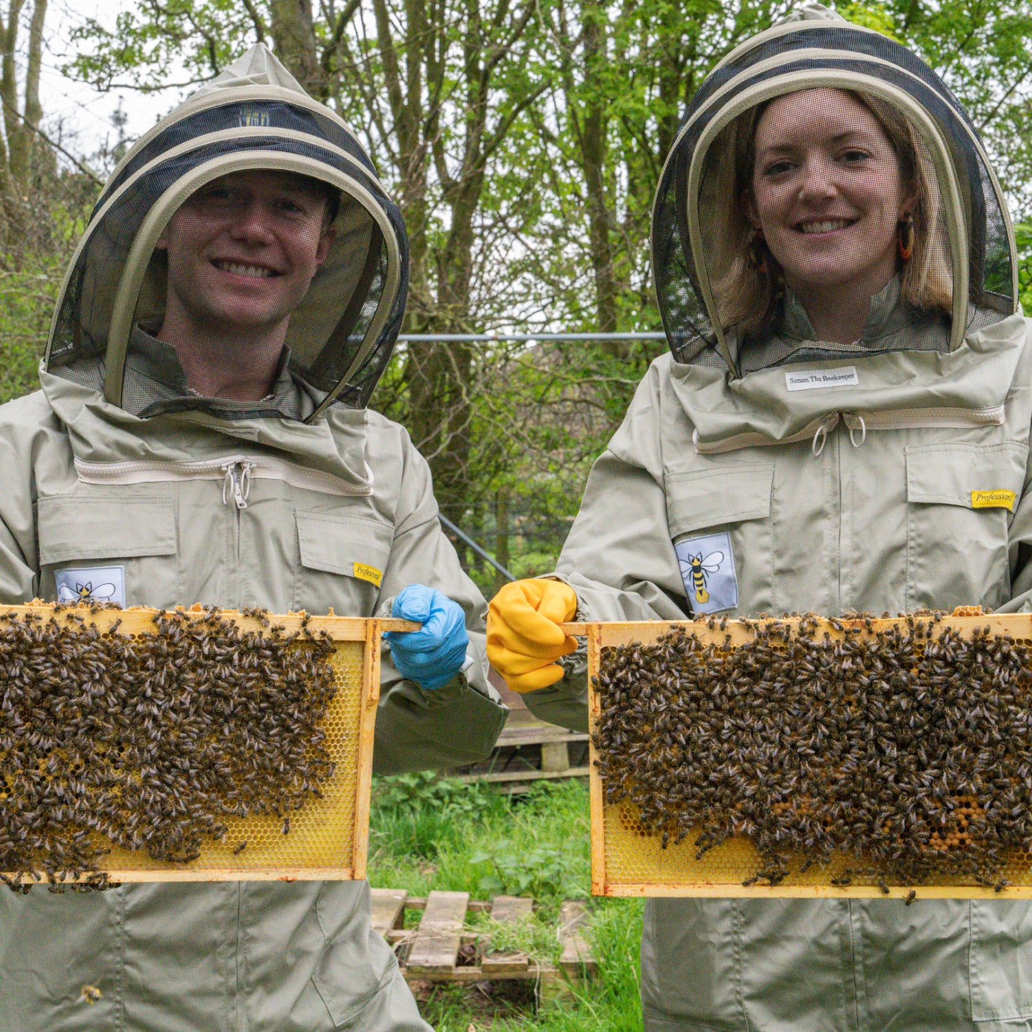 The Honey Project Full British Honey Pack 4 x 227g | Ratton Pantry